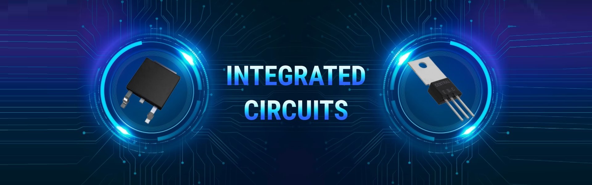 Integrated Circuits (ICs) & Logic IC Manufacturer